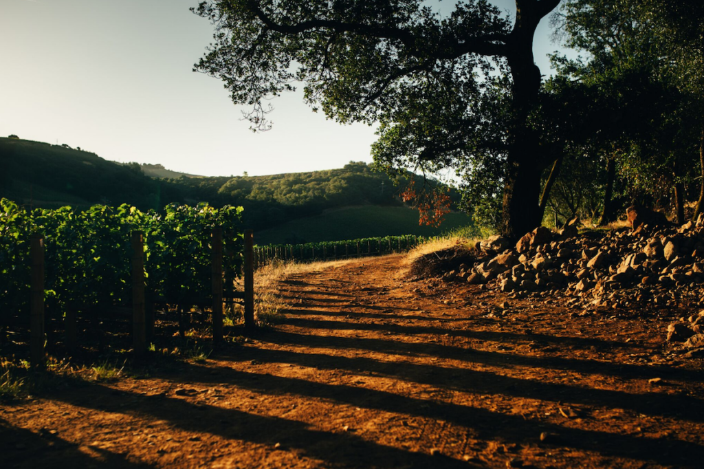 Like Father, Like Daughter: Vintner Samantha Rudd Takes Over the Family ...