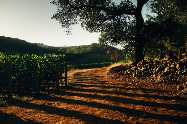 Like Father, Like Daughter: Vintner Samantha Rudd Takes Over the Family ...